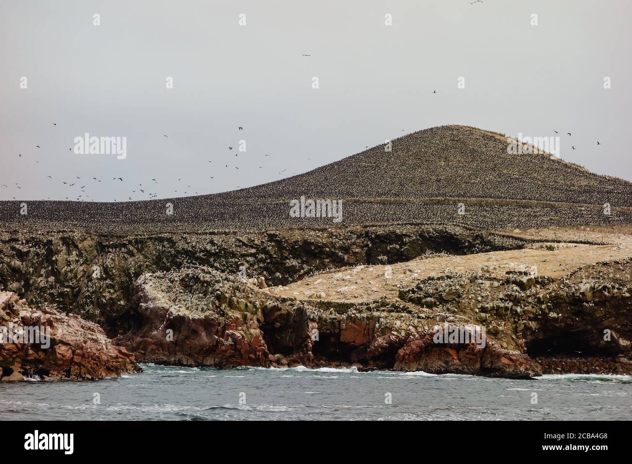 Ballestas Islands in National Reserve, Peru Stock Photo - Alamy