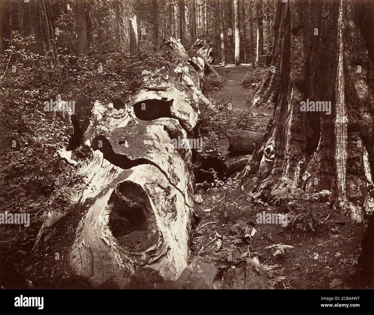 112 feet hi-res stock photography and images - Alamy