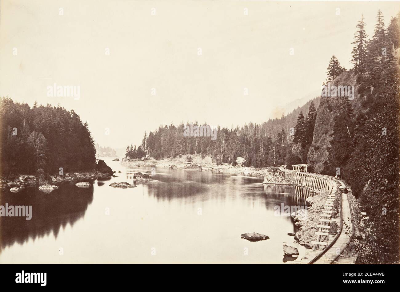 Silver tooth black hi-res stock photography and images - Alamy