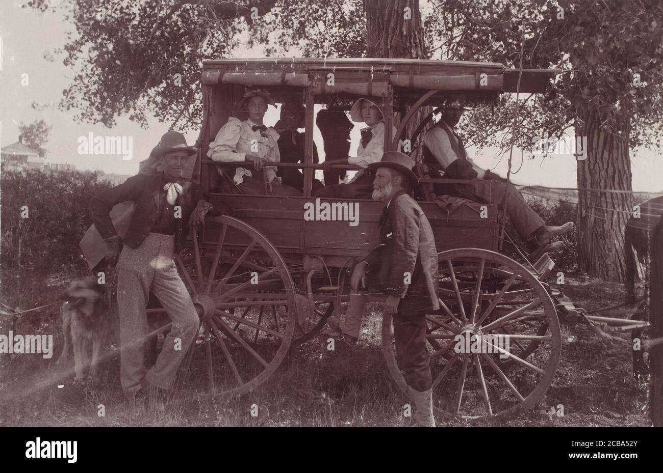Horse and carriage 1890s hi-res stock photography and images - Alamy