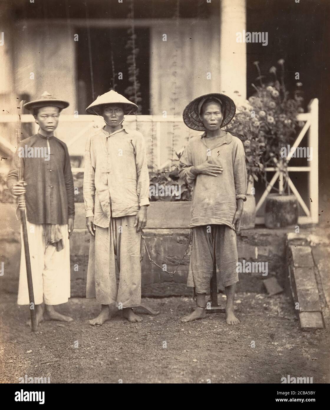 Cochinchine hi-res stock photography and images - Alamy