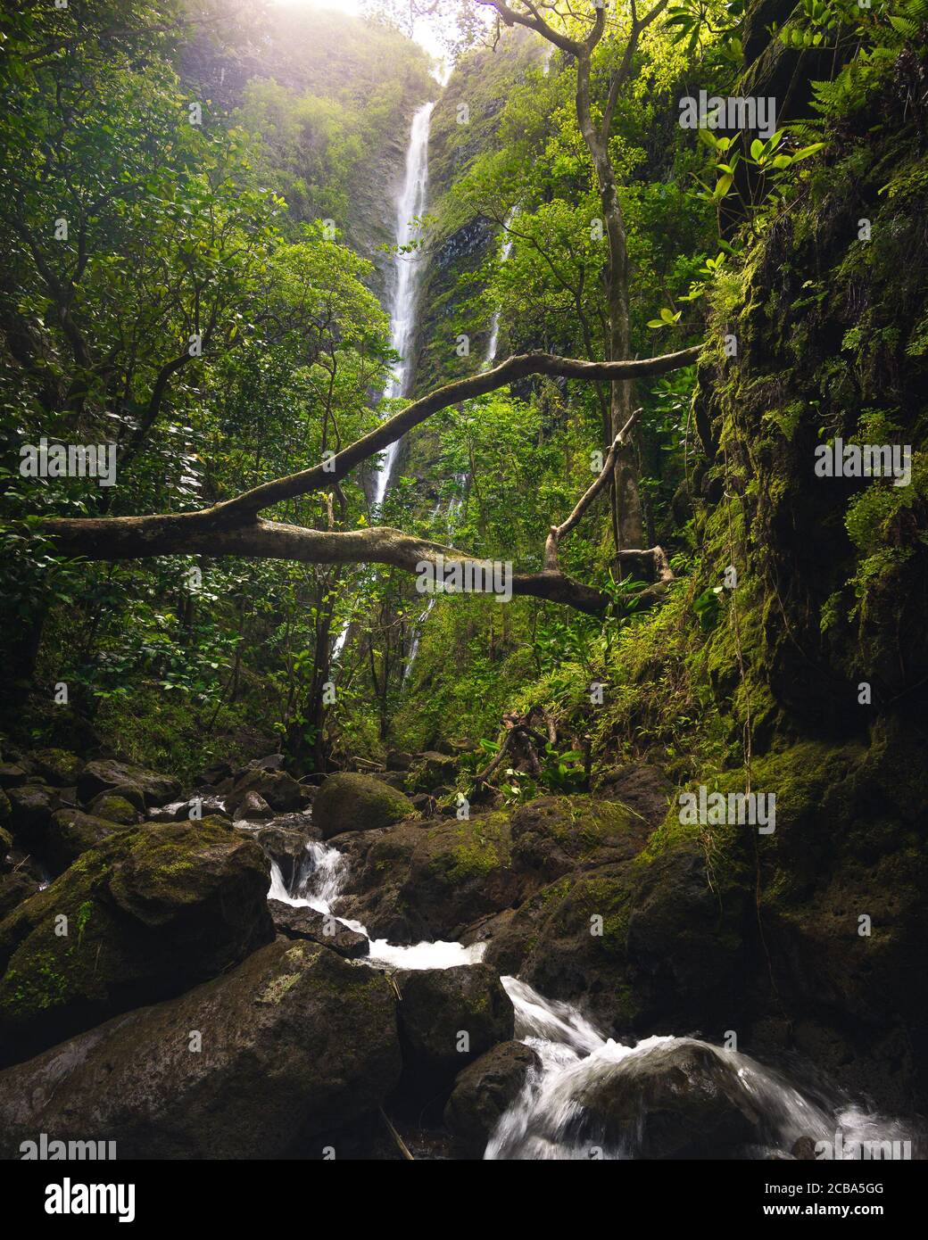 Small waterfall wallpaper hi-res stock photography and images - Alamy