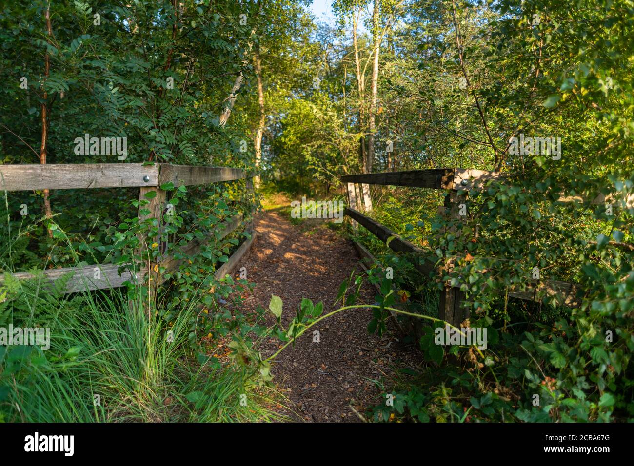 Sun spots on hill hi-res stock photography and images - Alamy