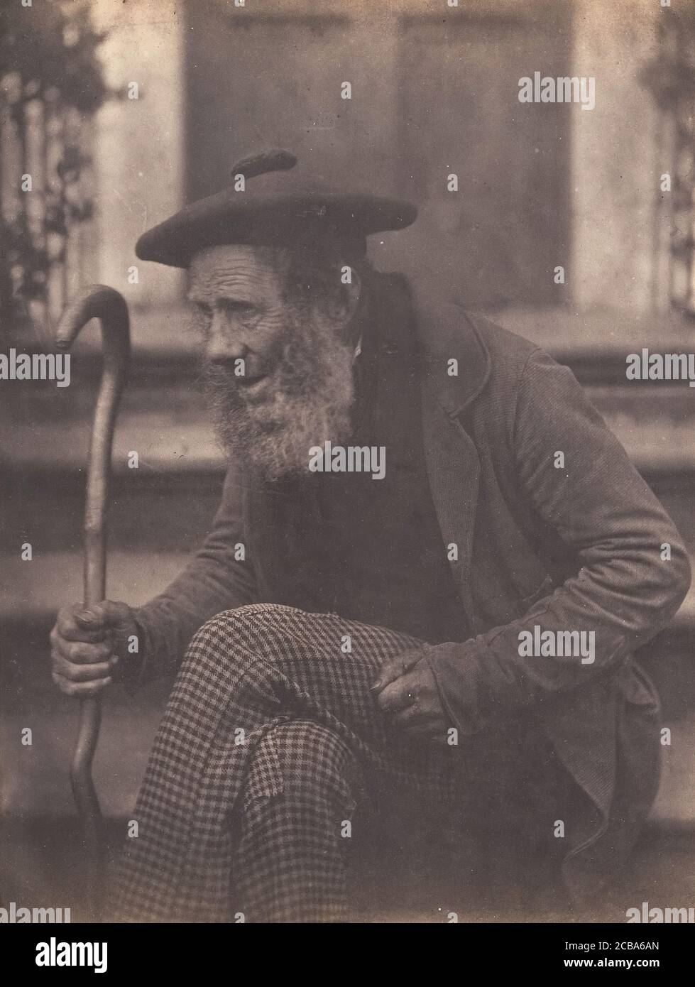 Old Tom, ca. 1856-59 Stock Photo - Alamy
