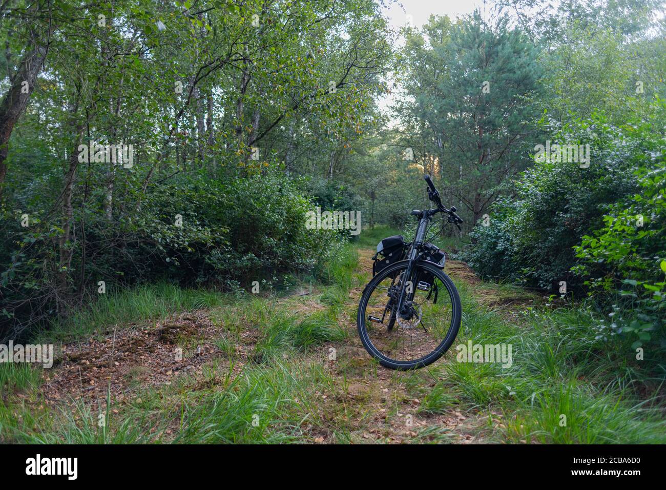 a bike ride in a natural moor on a summer morning Stock Photo - Alamy