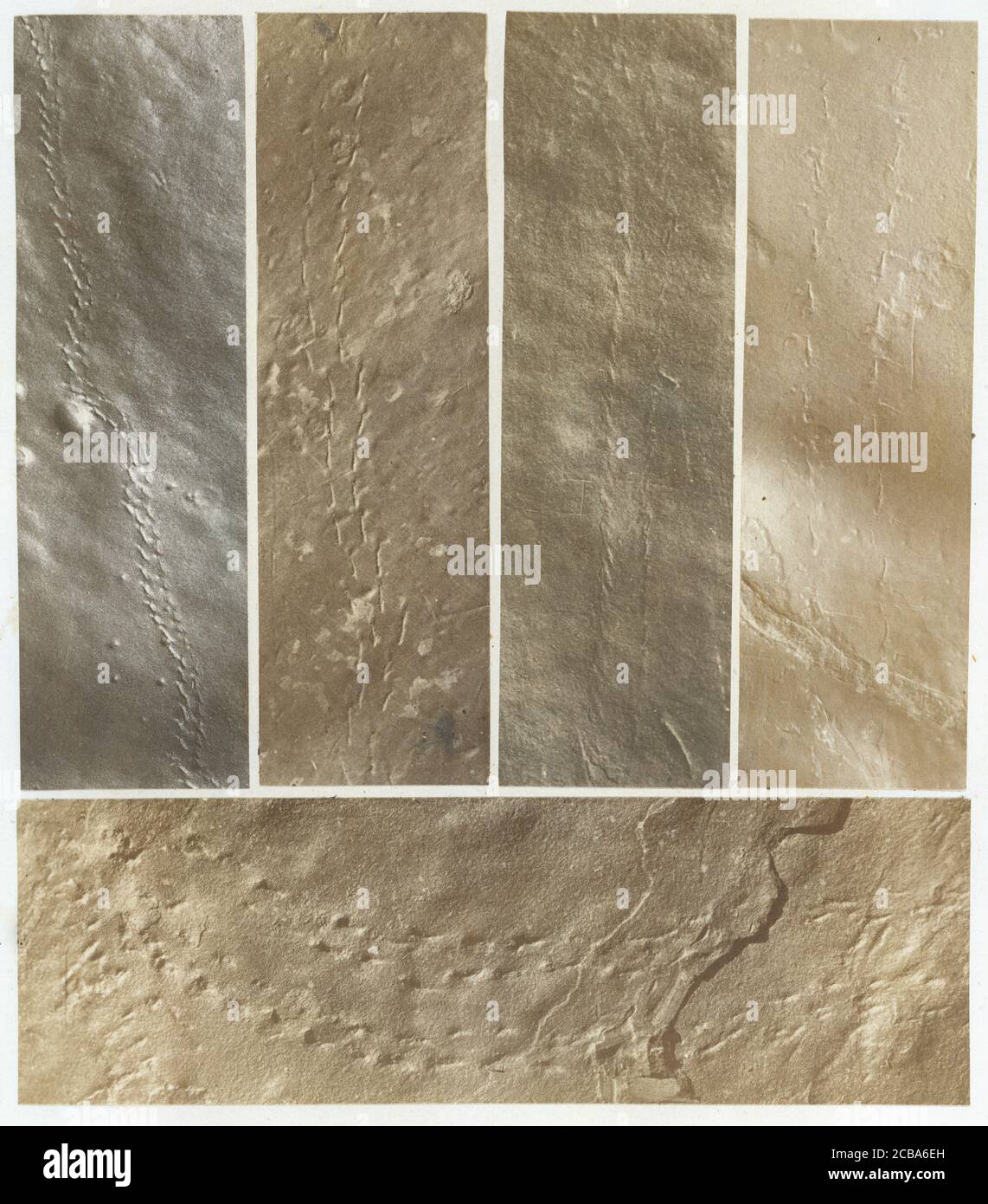 Ichnography hi-res stock photography and images - Alamy