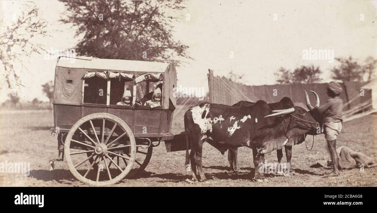 [Campbell Twins in a Shigram, Governor General's Camp], 1858-61 Stock ...
