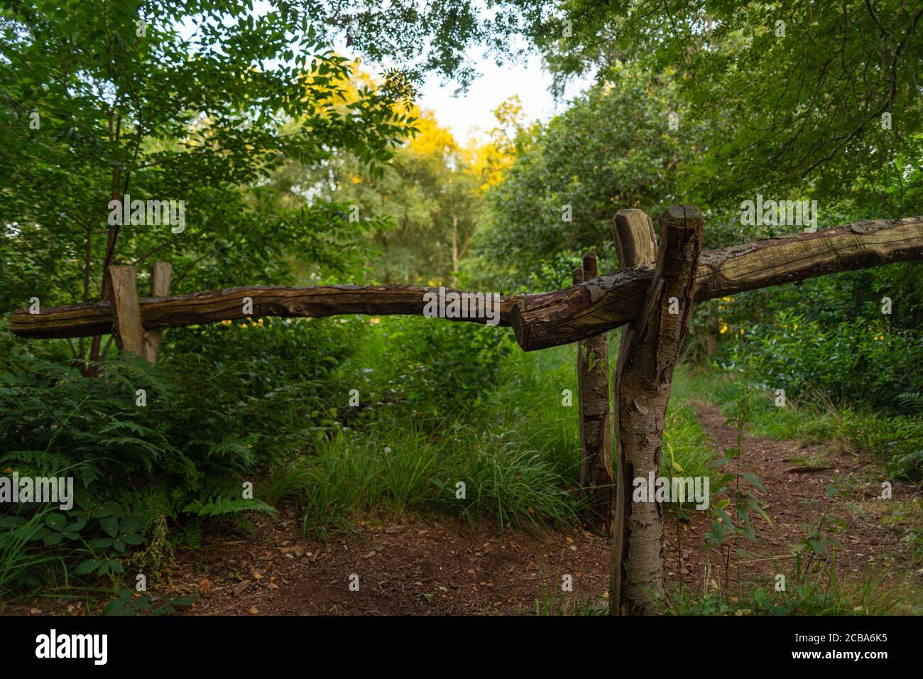 a path in the moor leads along some narrow spots with boards and ...