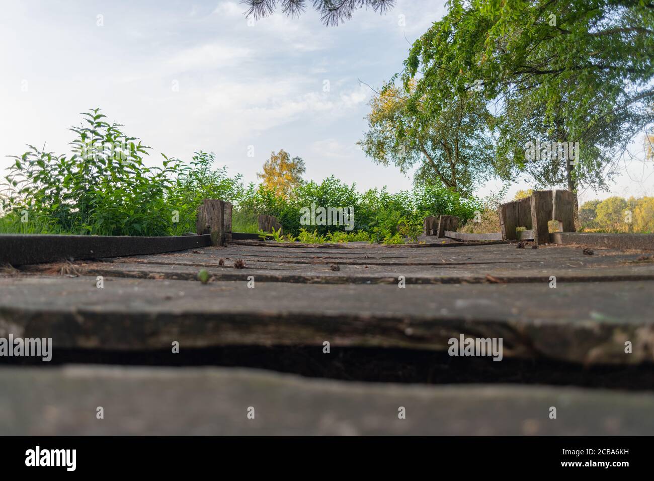 a path in the moor leads along some narrow spots with boards and ...