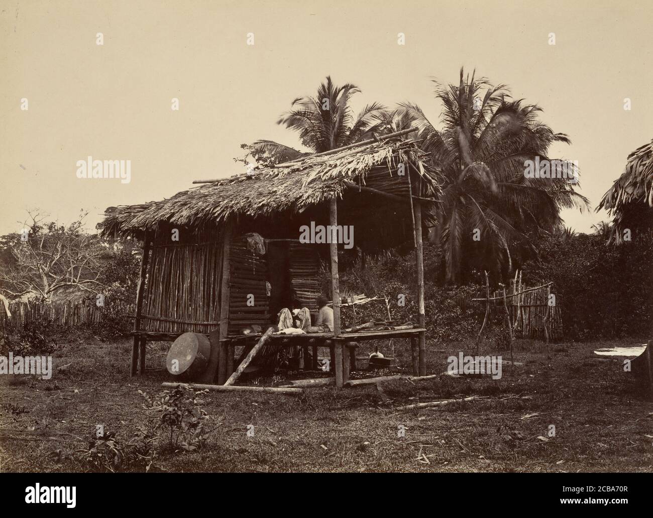 Tropical Scenery, Native Hut, Turbo, 1871 Stock Photo - Alamy