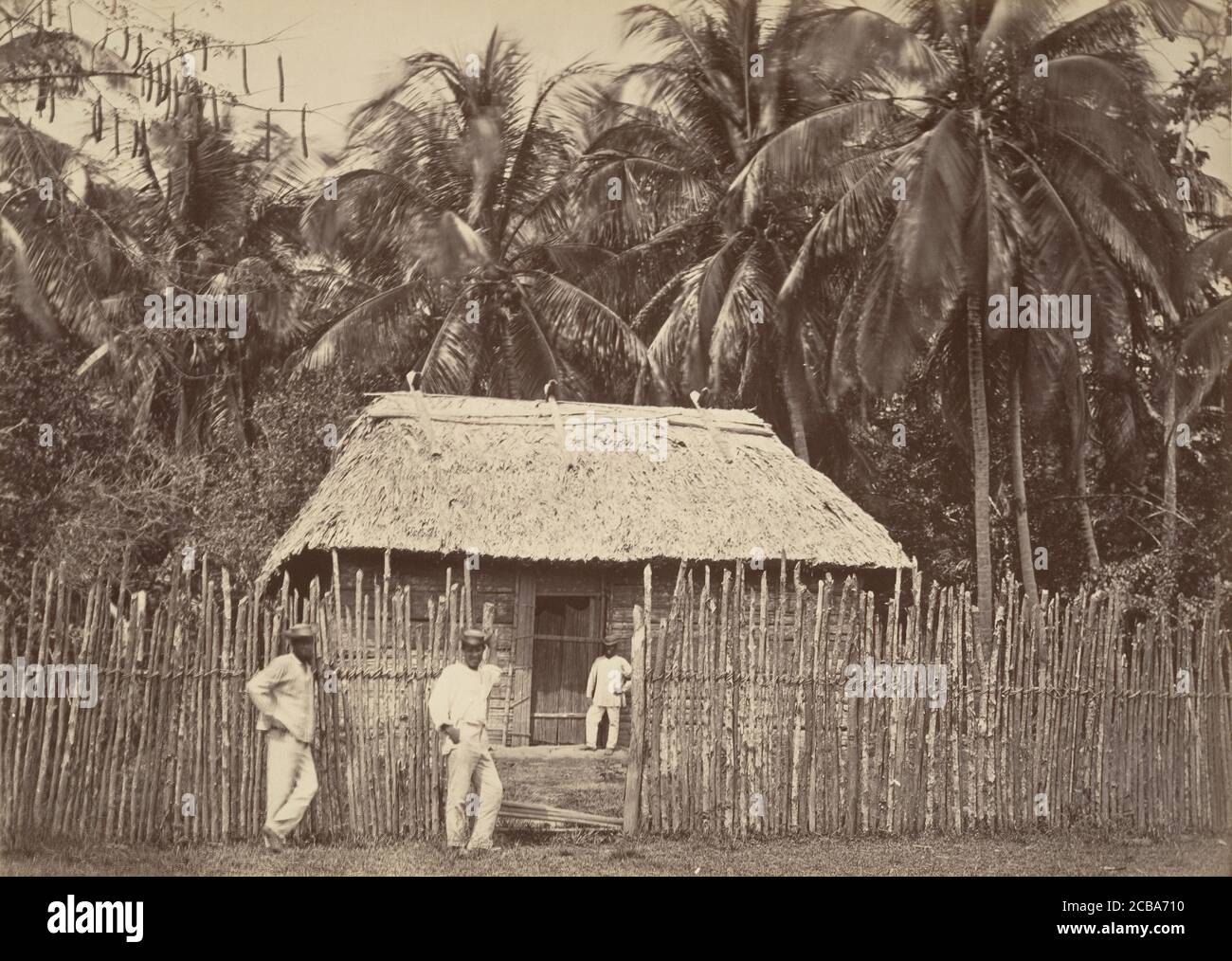 Tropical Scenery, Native Hut, Turbo, 1871 Stock Photo - Alamy