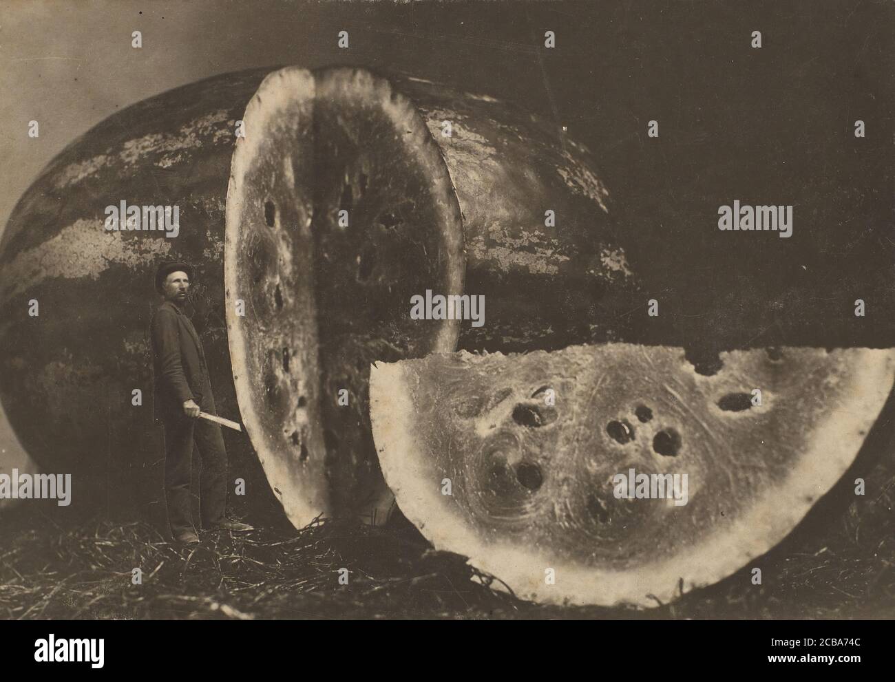 Watermelon museum hi-res stock photography and images - Alamy