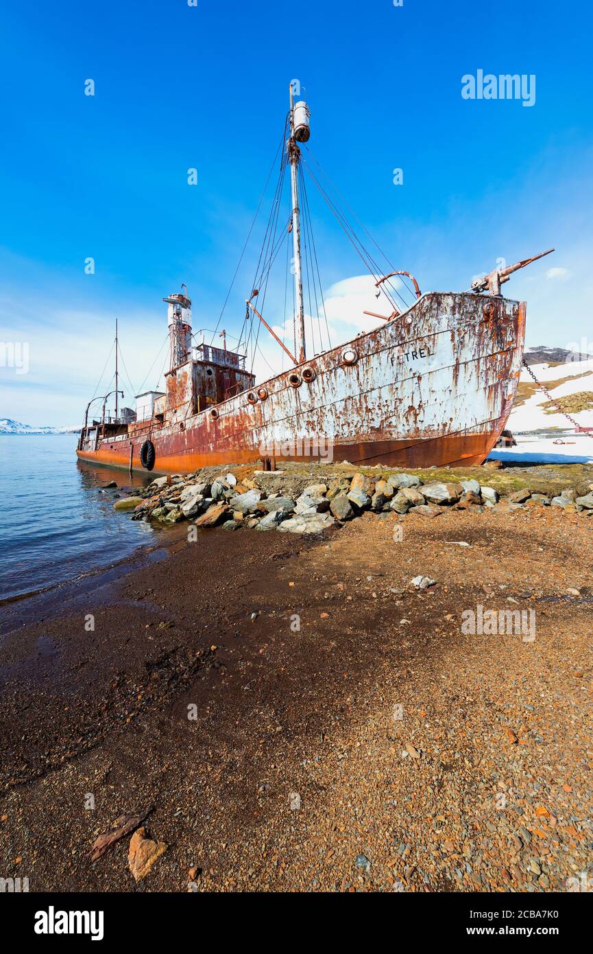 Wreck of the whaler ship Petrel, Former Grytviken whaling station, King ...