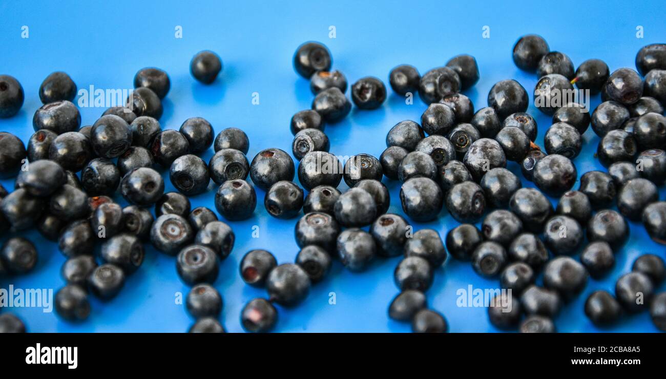 Fresh blueberries background with copy space for your text. Border ...