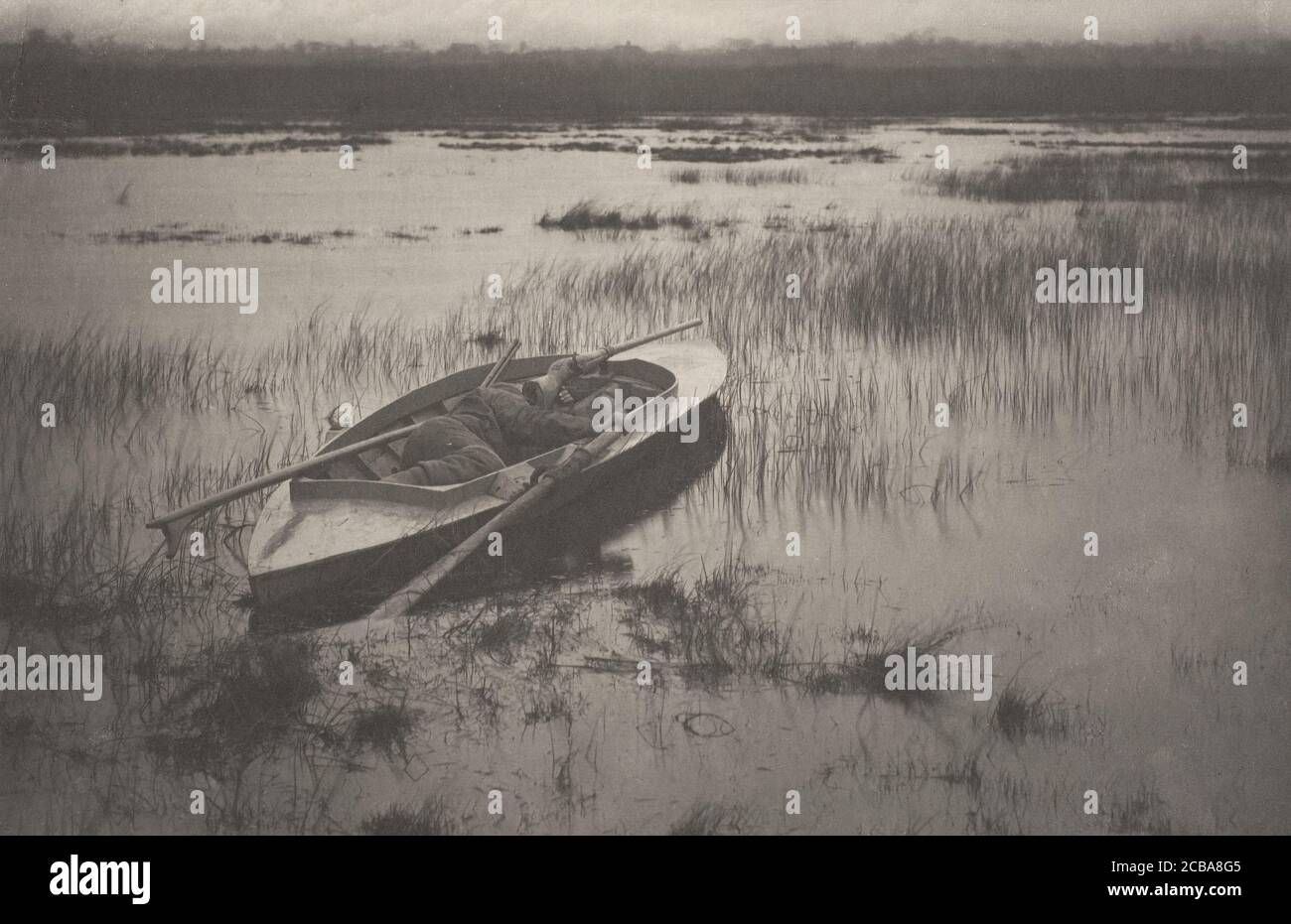 Peter bird rowing hi-res stock photography and images - Alamy