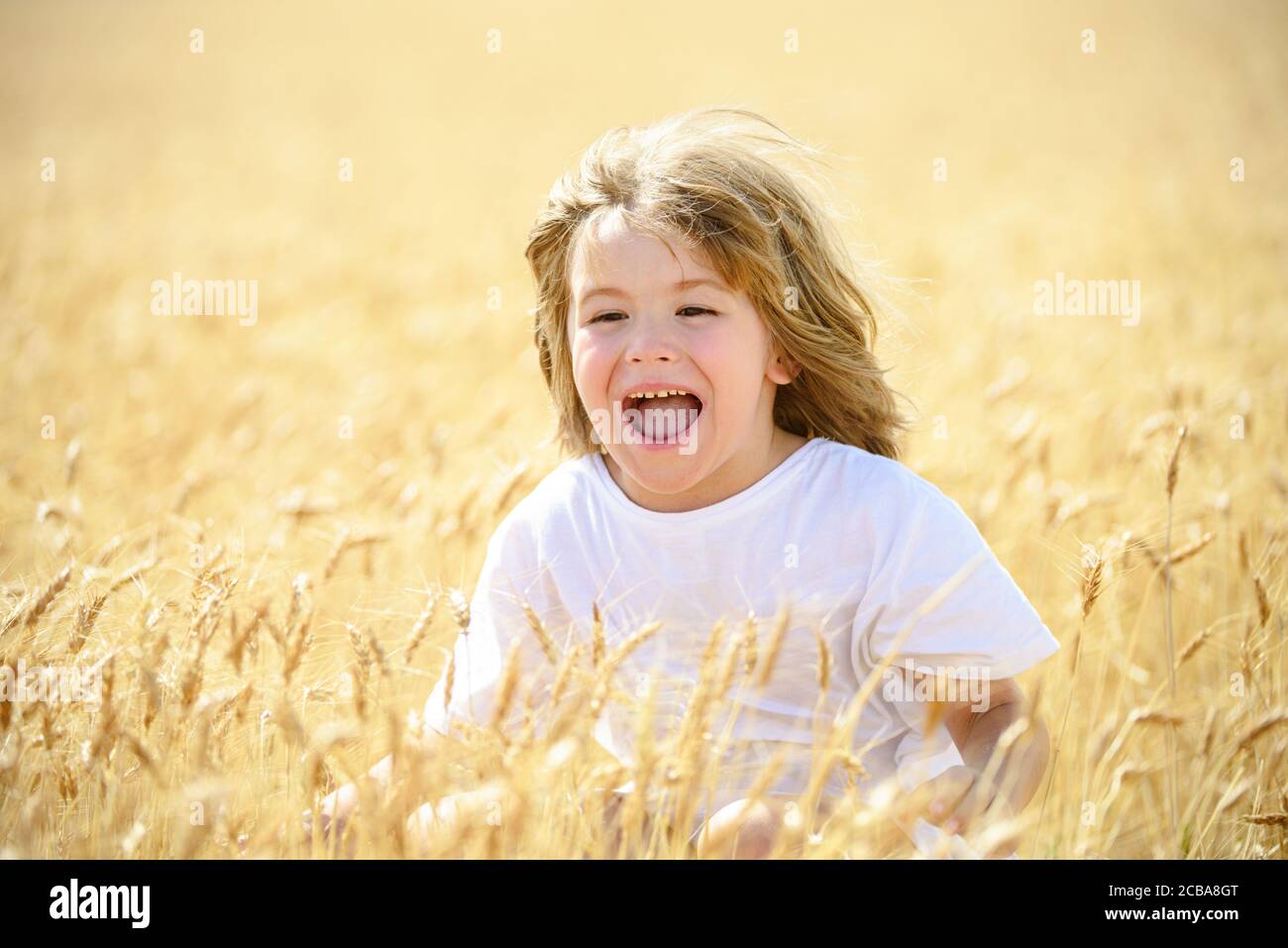 Excited kids on wheat field. Happy boy on wheat field looking up ...