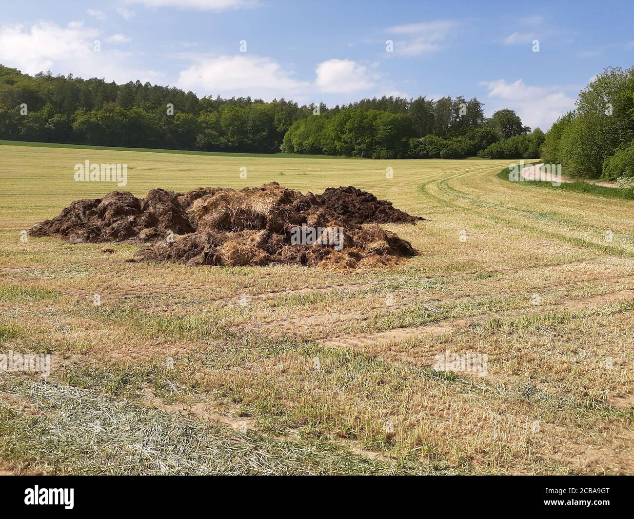 Dung spread on fields hi-res stock photography and images - Alamy