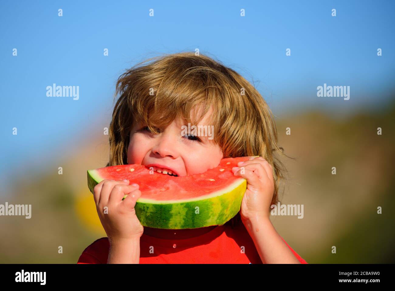 Fresh watermelons photo hi-res stock photography and images - Alamy