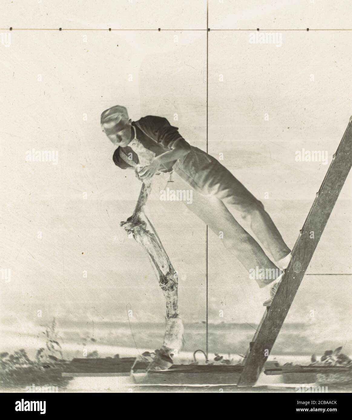 Dissection 19th century hi-res stock photography and images - Alamy