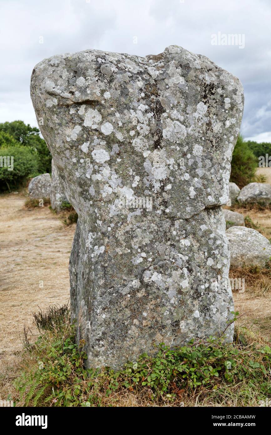 Carnac stones, collection of megalithic sites around the village of ...