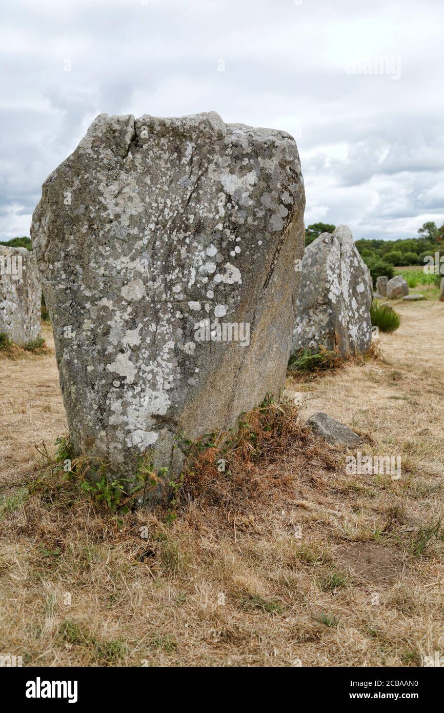 Carnac stones, collection of megalithic sites around the village of ...
