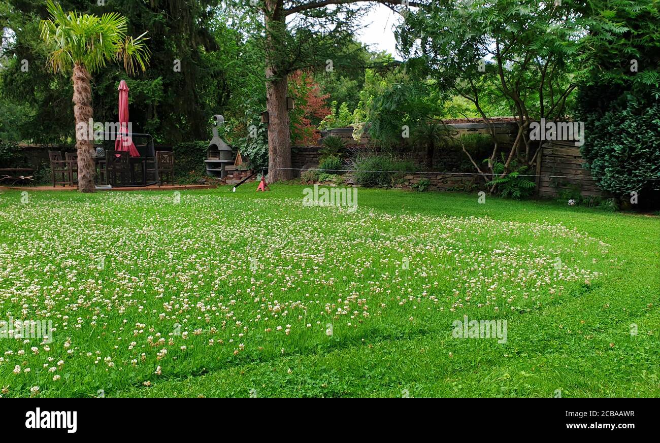 Trefoils lawn hi-res stock photography and images - Alamy