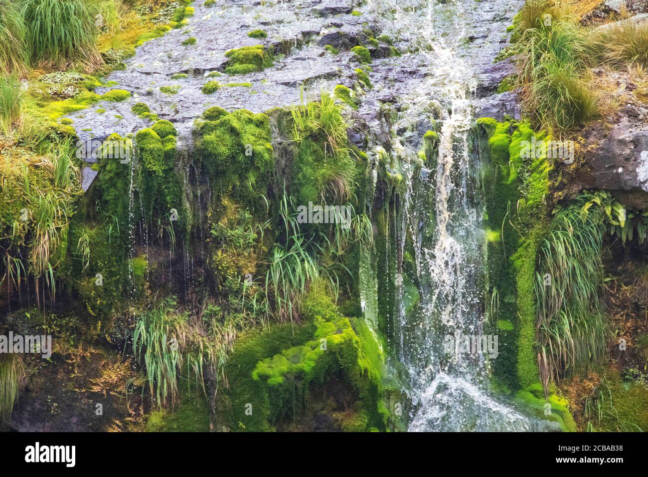 Waterfall on Antipodes Island, part of the Subantarctic Islands of New ...