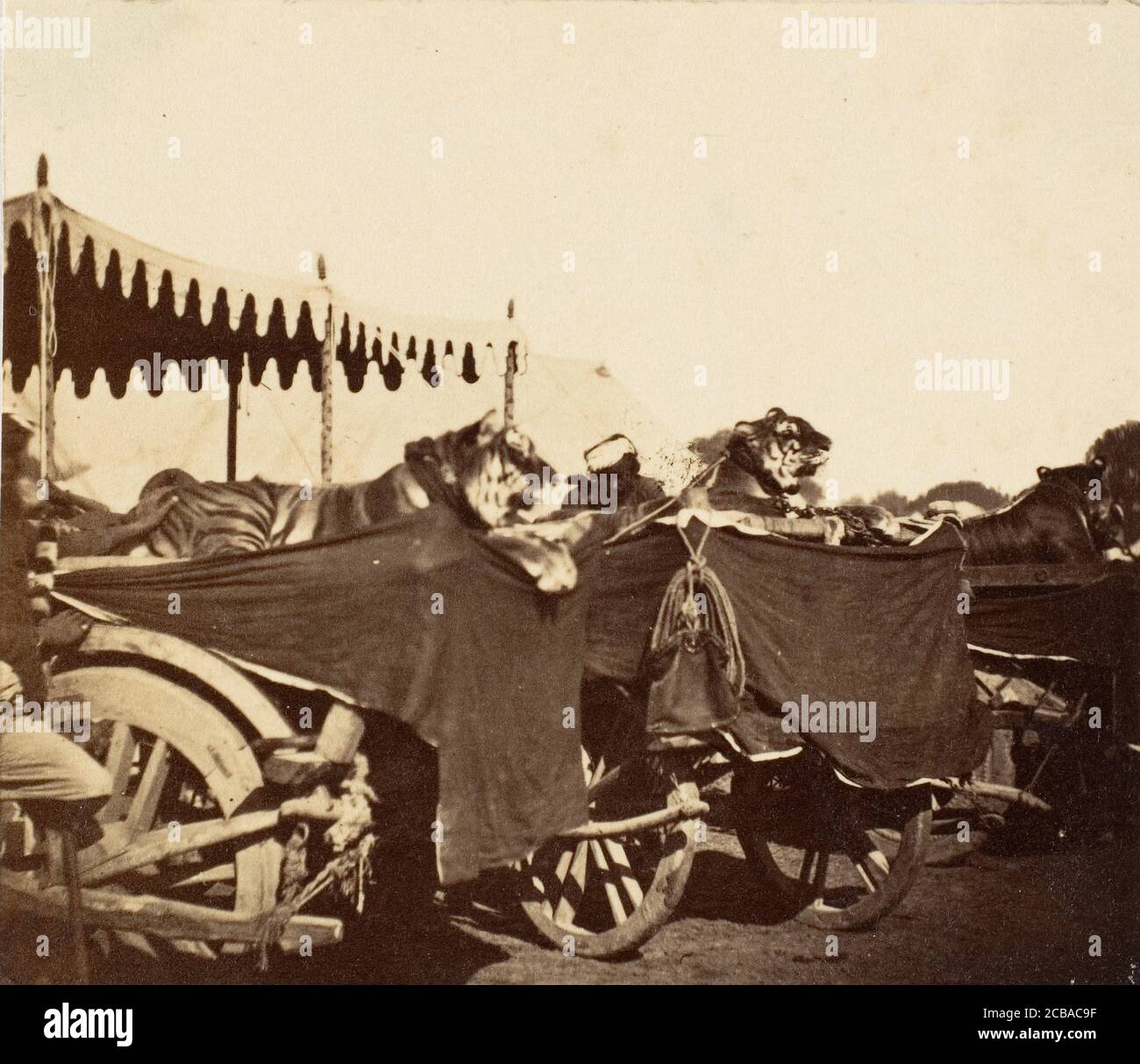 Lady charlotte elizabeth canning hi-res stock photography and images ...