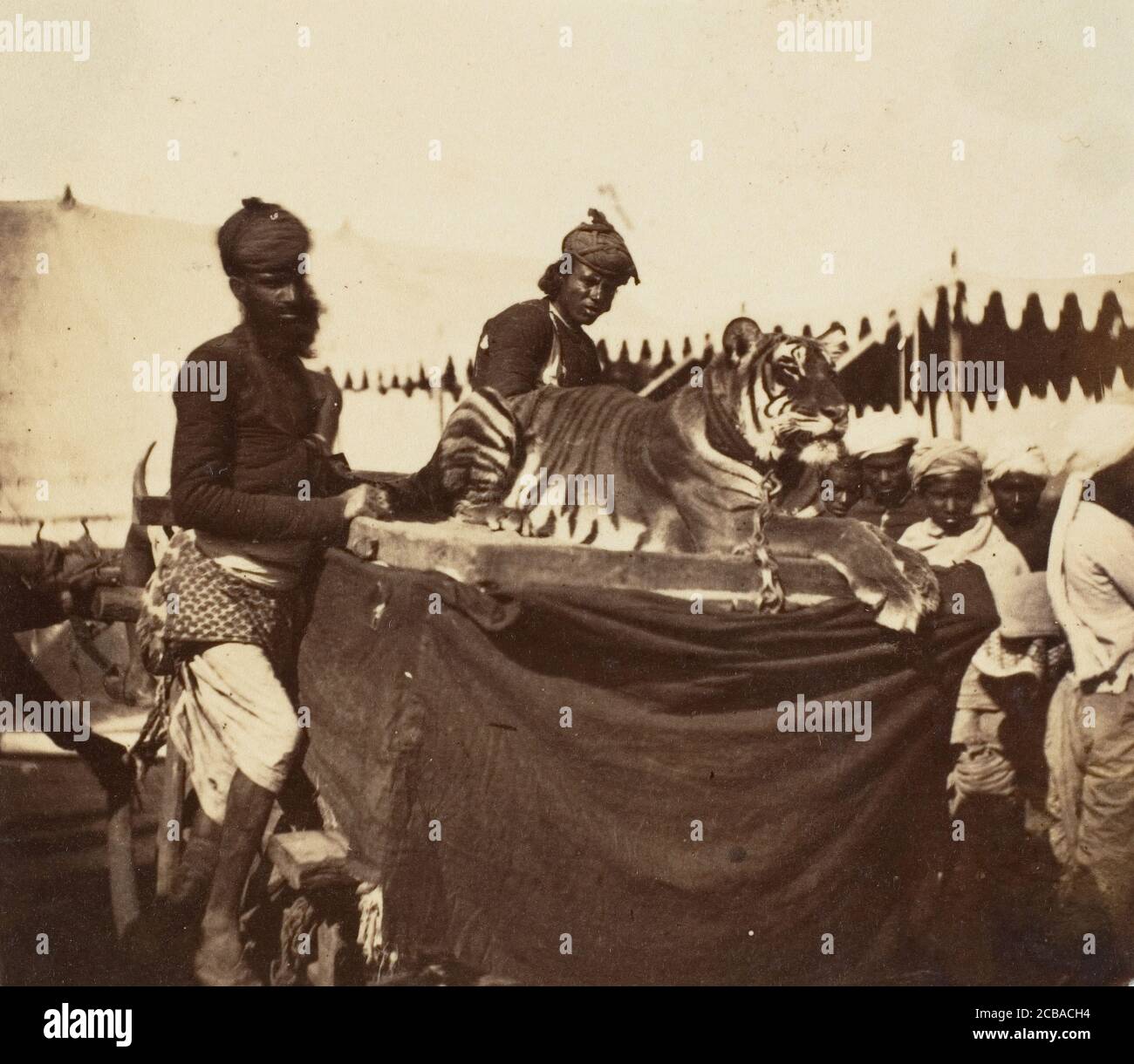 Charlotte elizabeth canning hi-res stock photography and images - Alamy