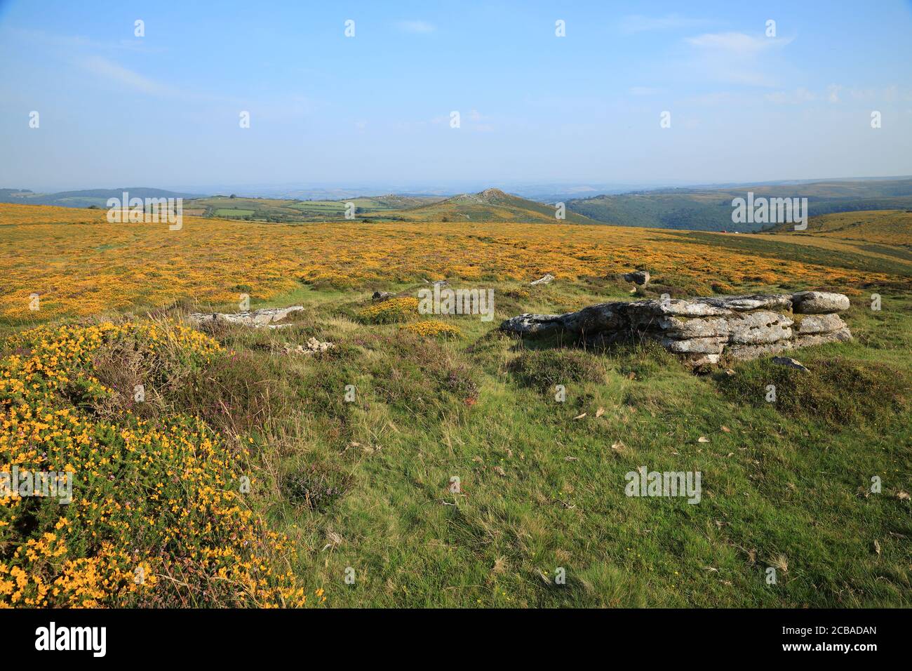 View from Yar Tor across Corndon down towards Sharp tor, Dartmoor ...