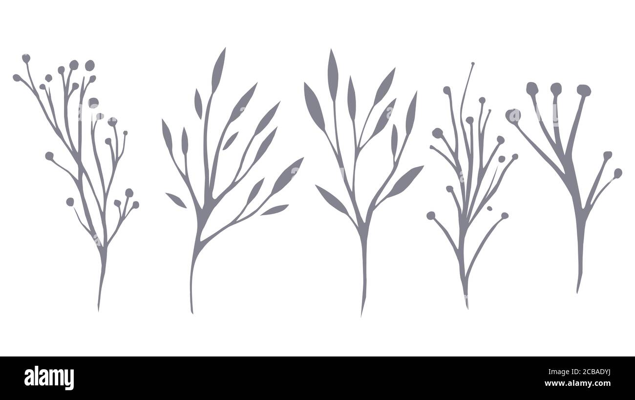 Vector set of delicate leaves and herbs for your creativity Stock ...