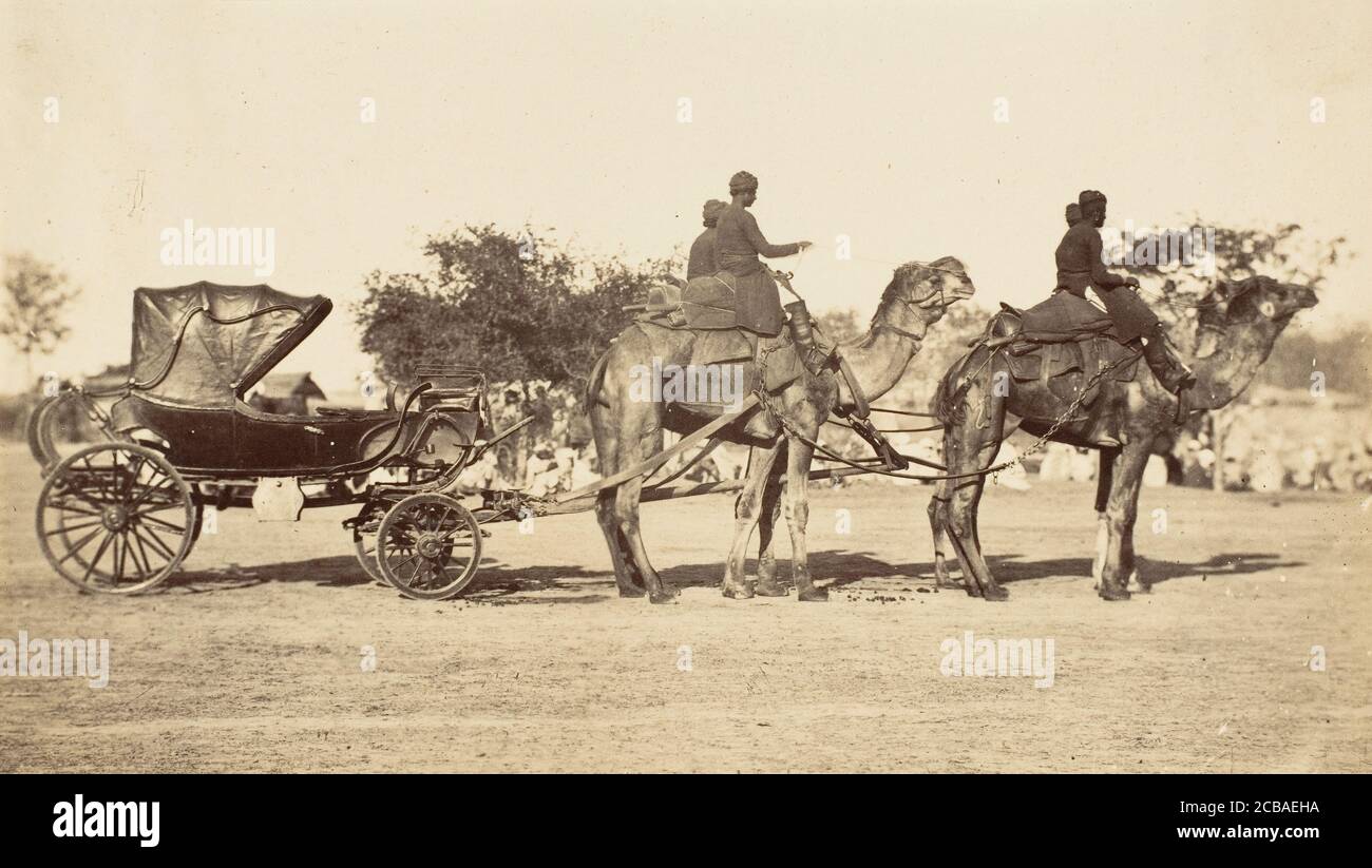 A Travelling Camel Carriage from Lahore to Peshawar, Governor General's ...