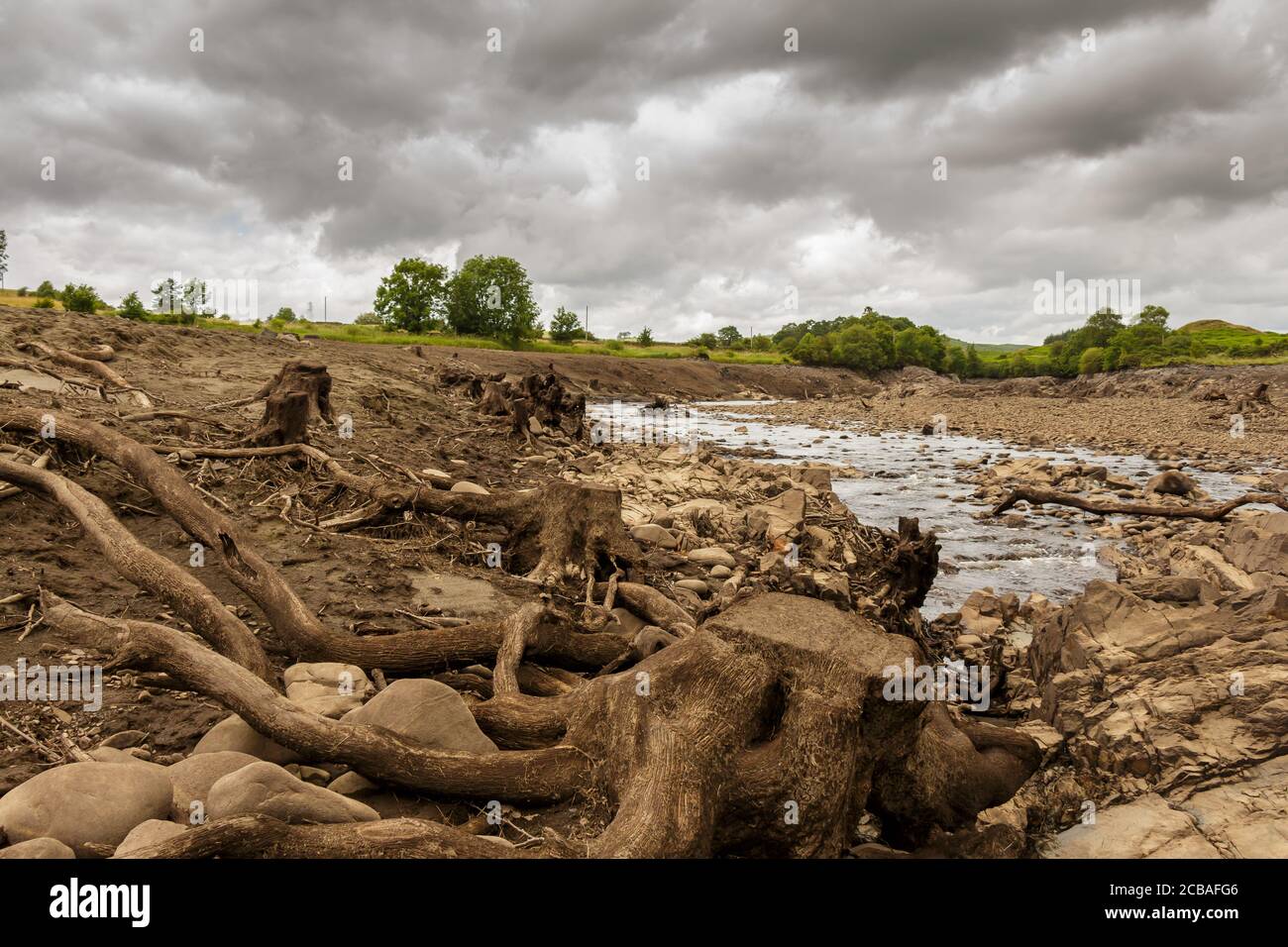Tree trunks exposed from the former river bank in the drained Earlstoun ...