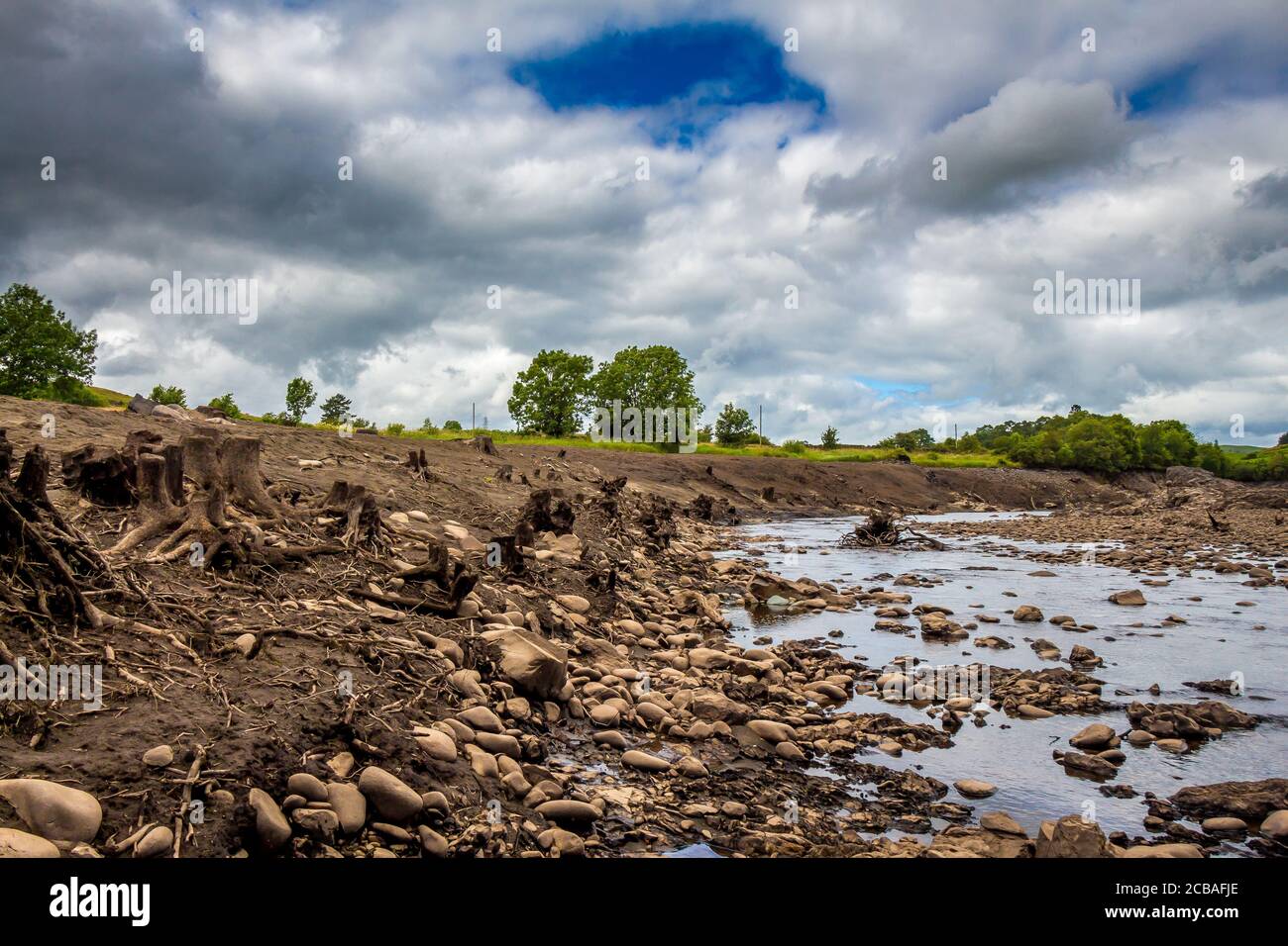 Tree trunks exposed from the former river bank in the drained Earlstoun ...