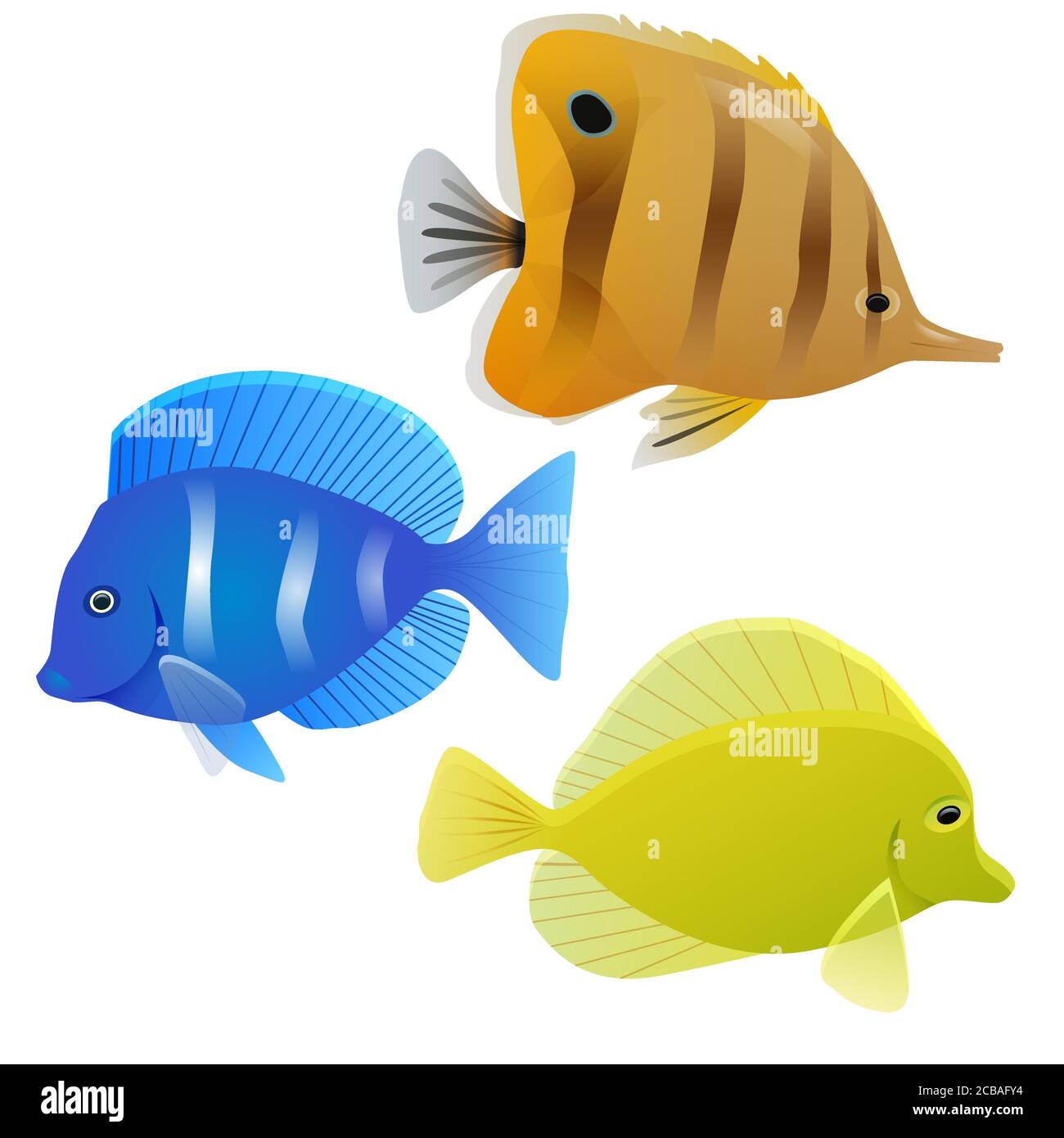 Set of tropical fish. Vector element for your design Stock Vector Image ...