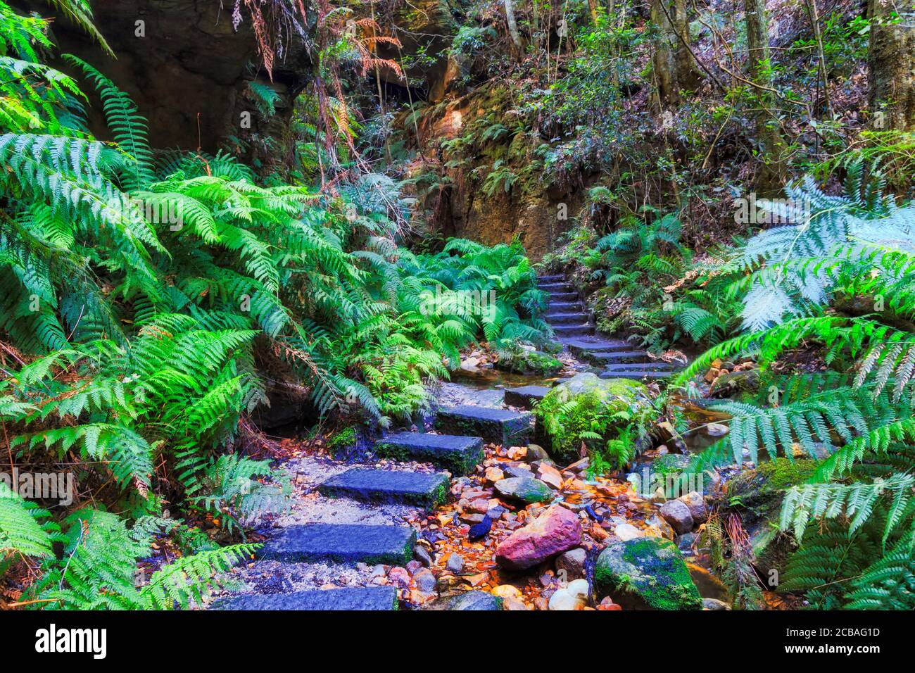 Set stone steps across shallow creek in the BLue Mountains of Australia ...