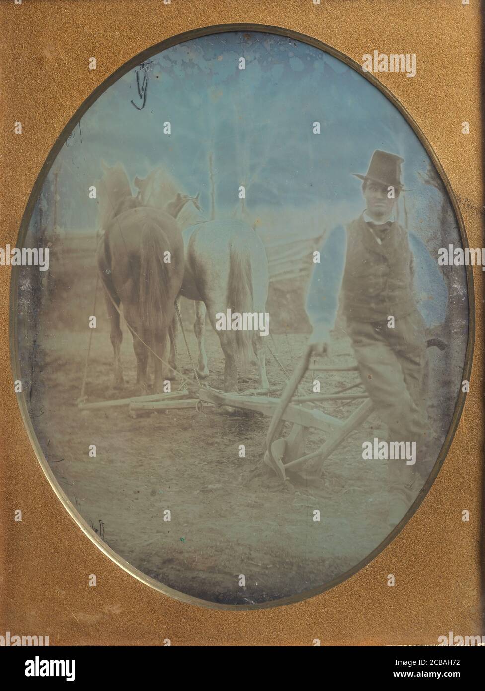 Farm horse 19th century photograph hi-res stock photography and images ...