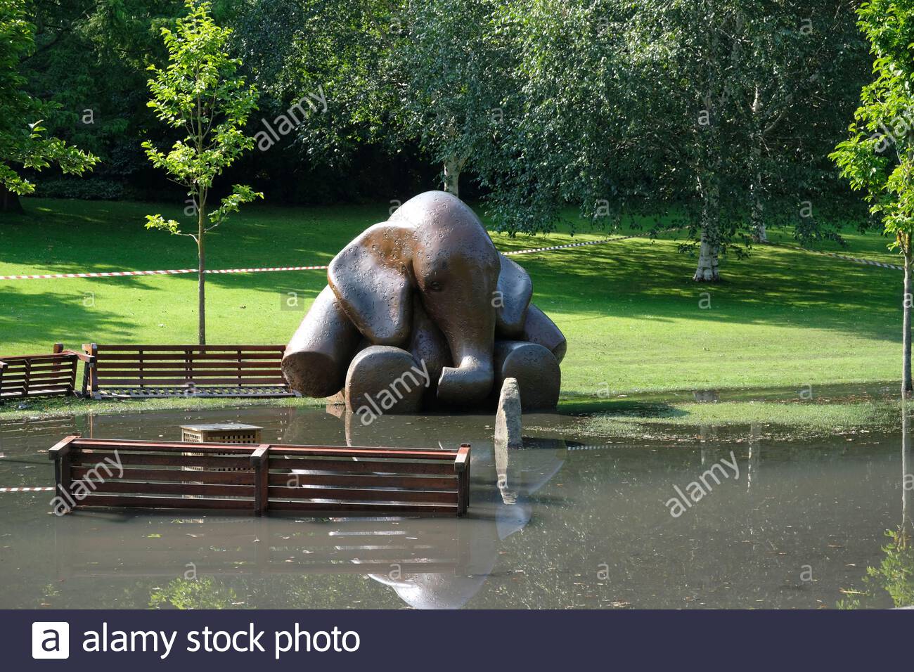 Trapped baby elephant hi-res stock photography and images - Alamy