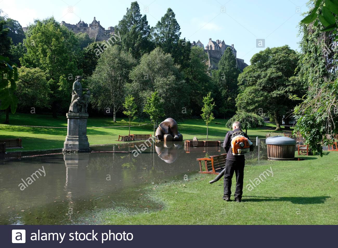 Trapped baby elephant hi-res stock photography and images - Alamy