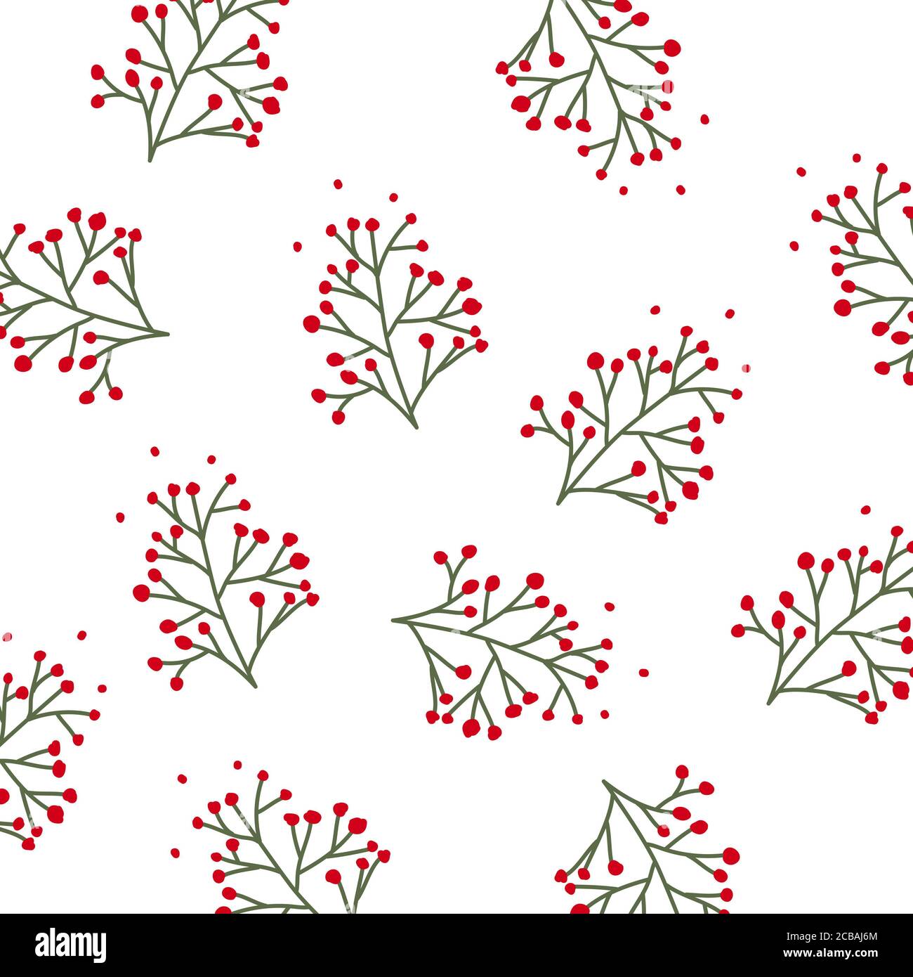 Illustration of holly tree branches isolated on a white background ...