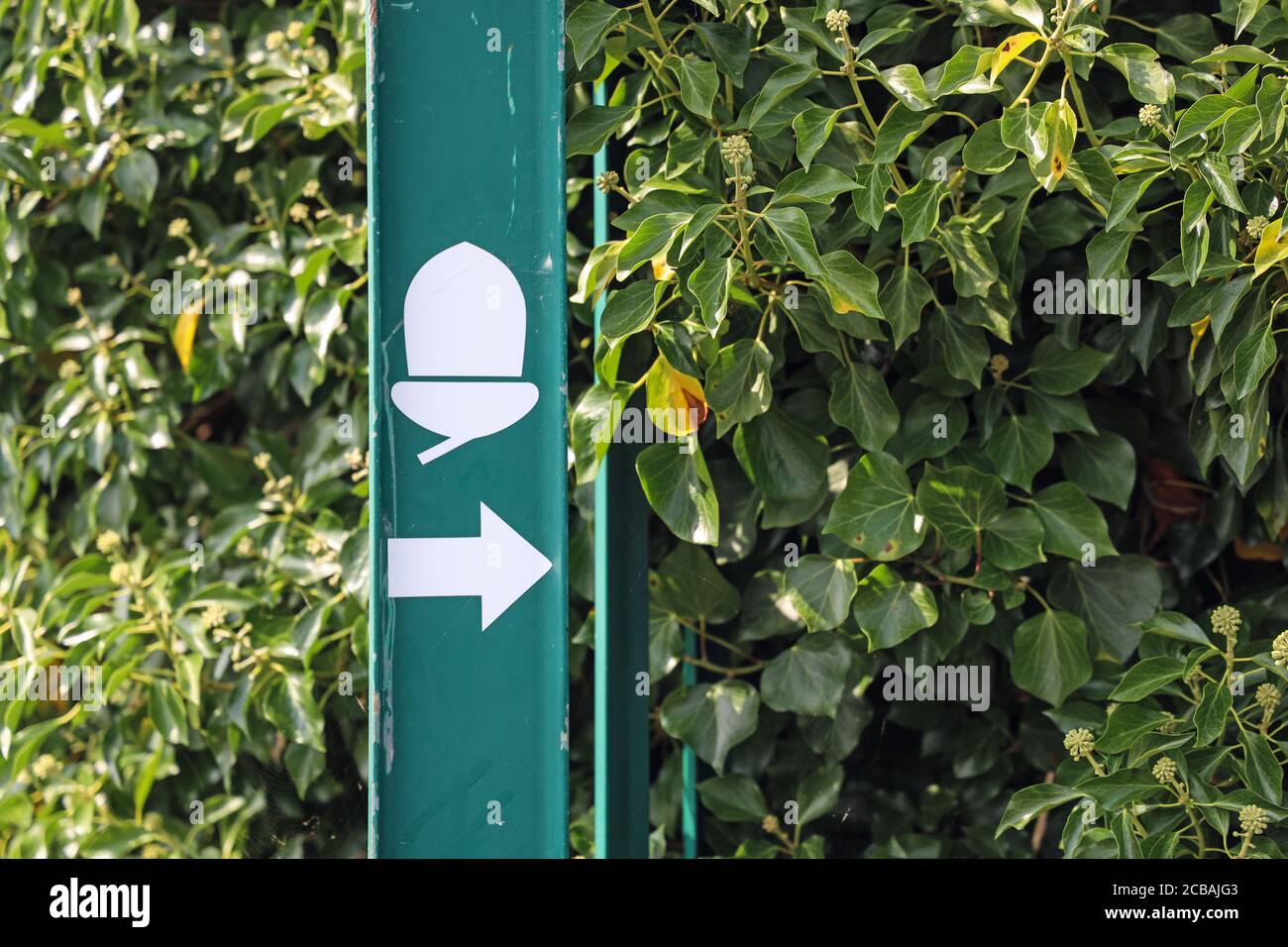 Acorn symbol hi-res stock photography and images - Alamy