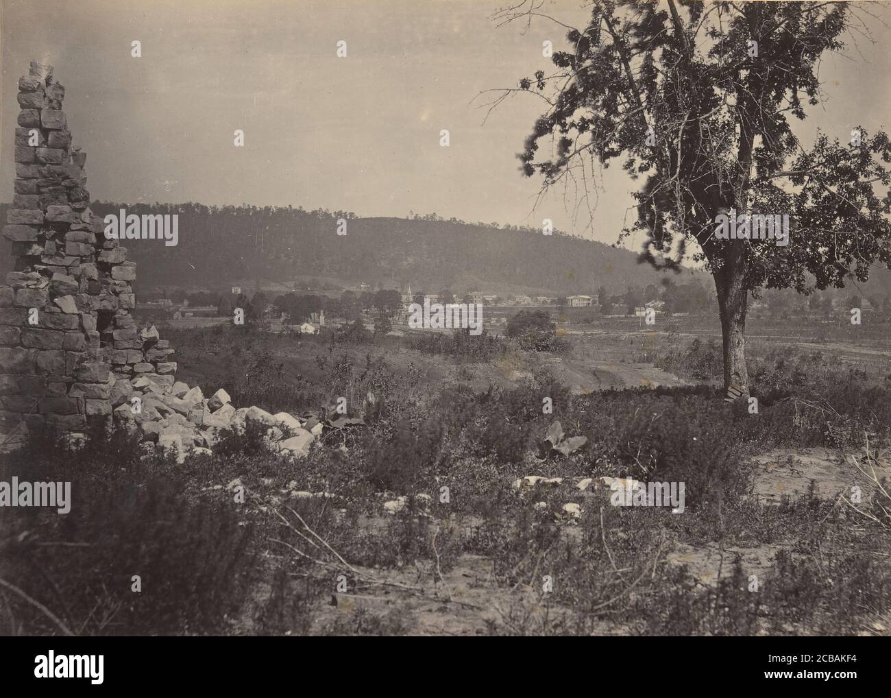 Ringold hi-res stock photography and images - Alamy