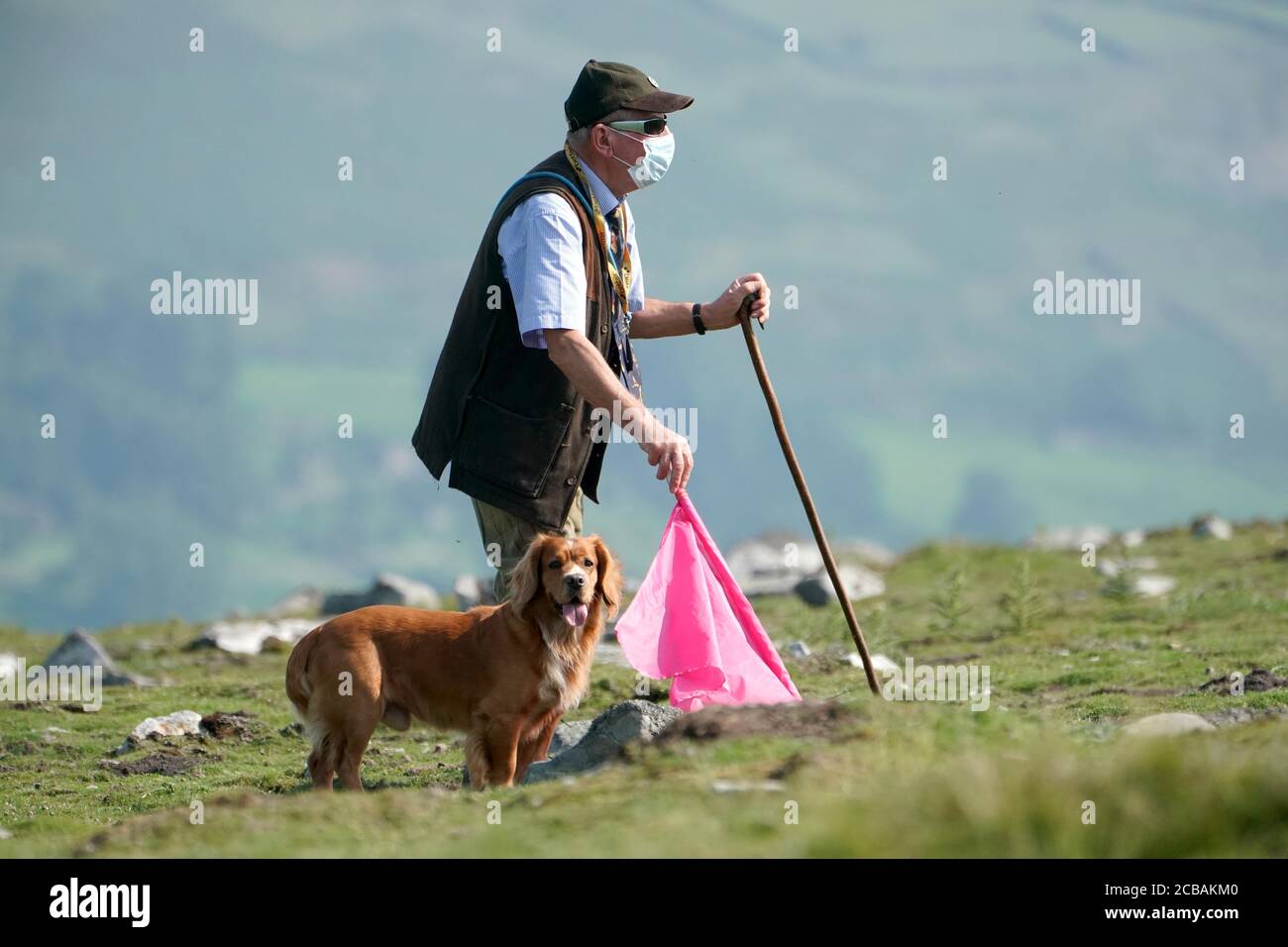 Retired game keeper beating grouse hi-res stock photography and images ...