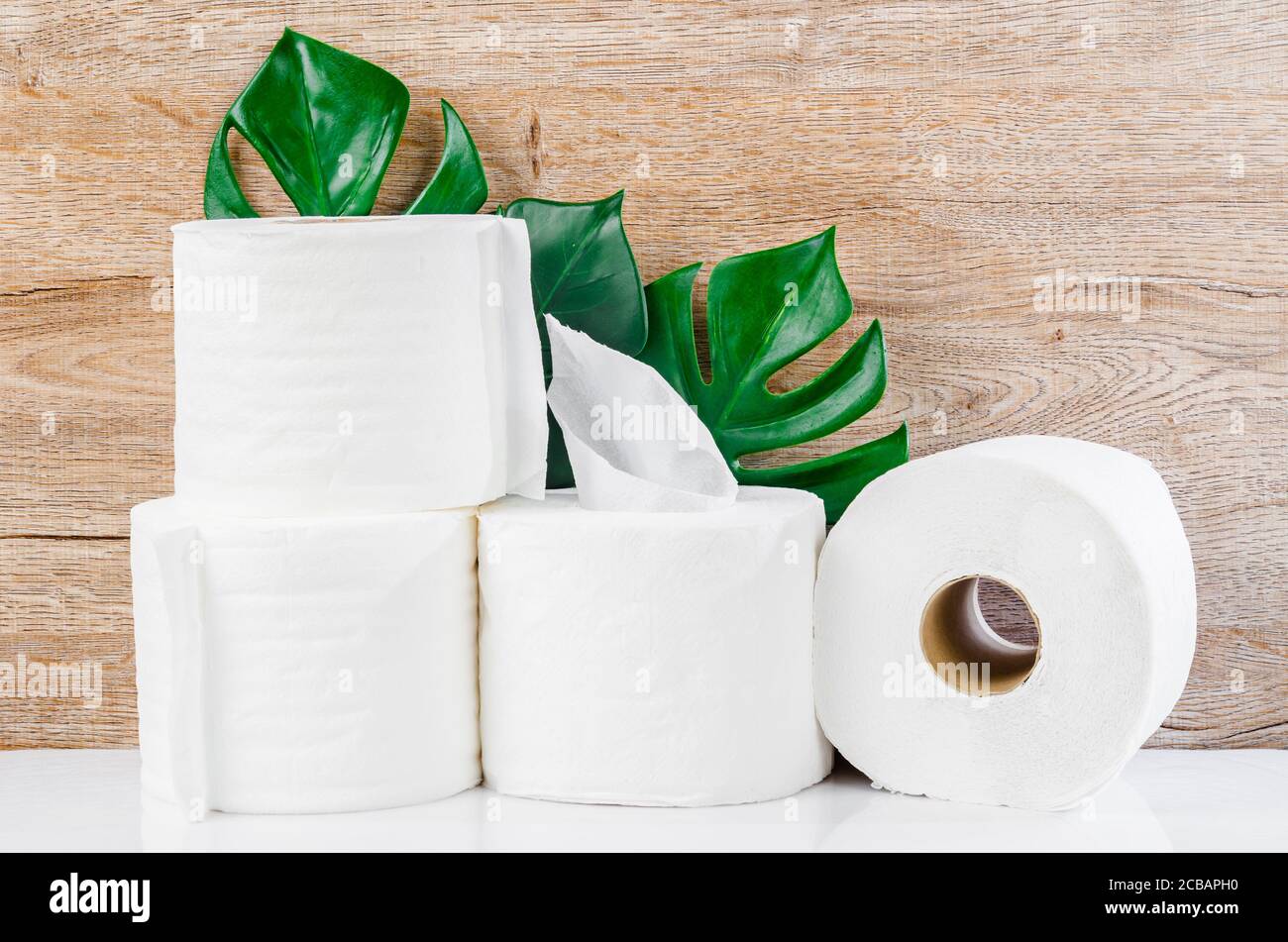 Tissue paper rolls and green leaves on white background Stock Photo - Alamy