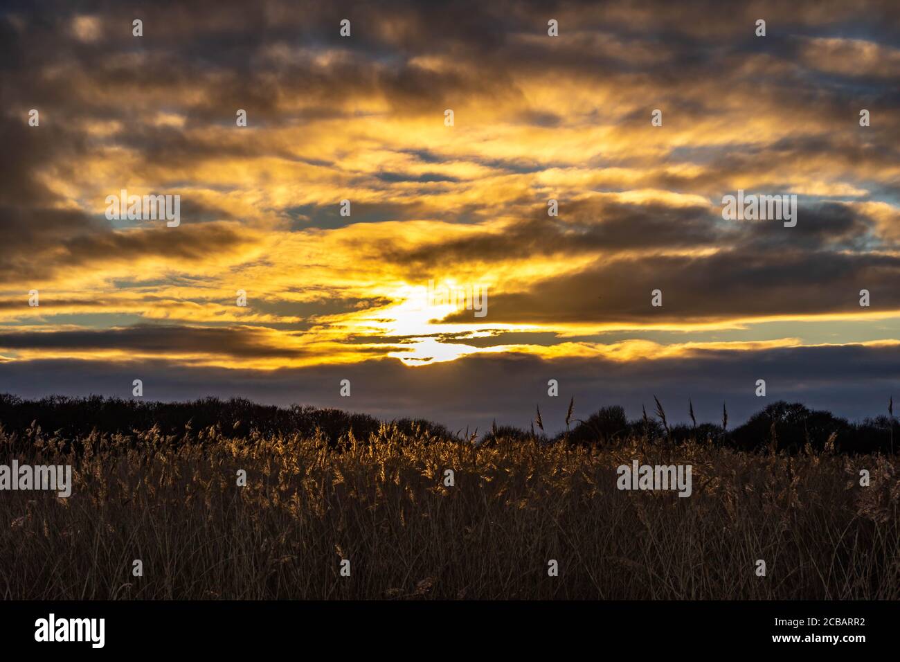 sun setting over the farmer's crops Stock Photo - Alamy