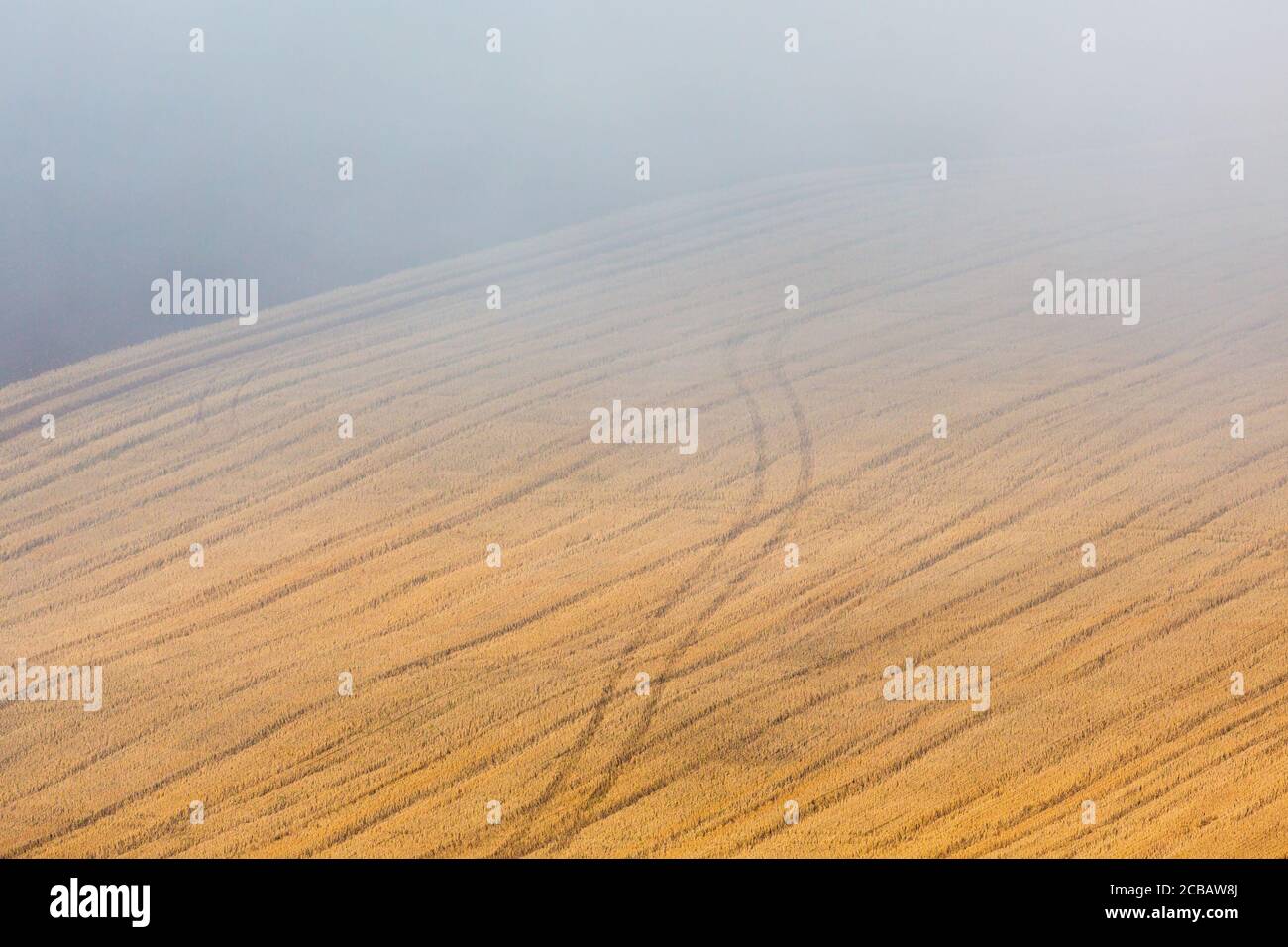 Misty morning over the stubble field Stock Photo - Alamy