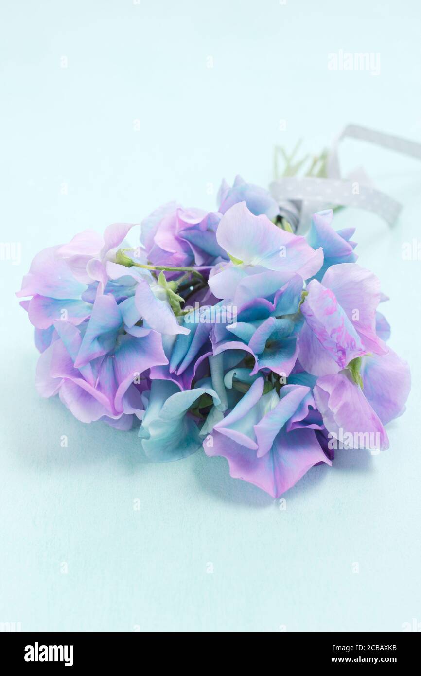 Blue Sweet Pea Flower Bouquet