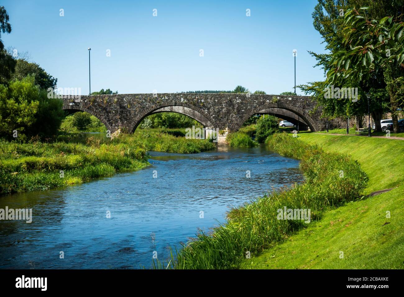 Dog walk by river uk hi-res stock photography and images - Alamy
