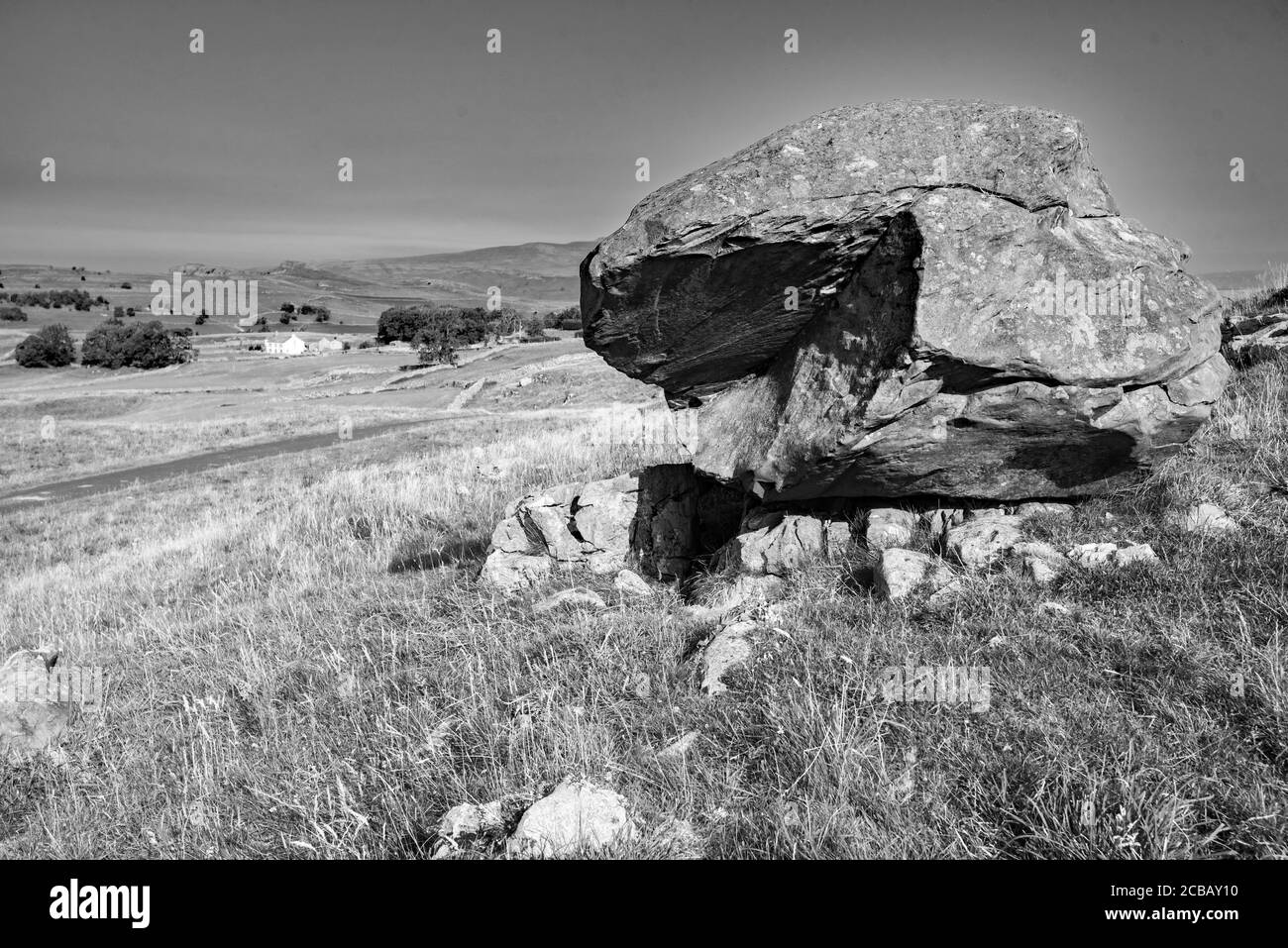 Butterflies of yorkshire Black and White Stock Photos & Images - Alamy