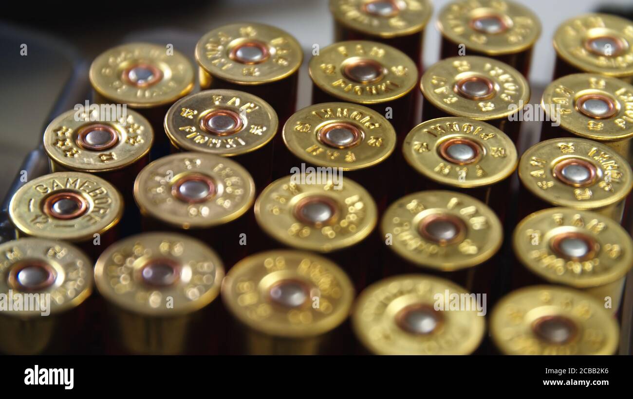 Shotgun cartridges Close-Up Shot of Shotgun Shells in Ammo Box Stock ...